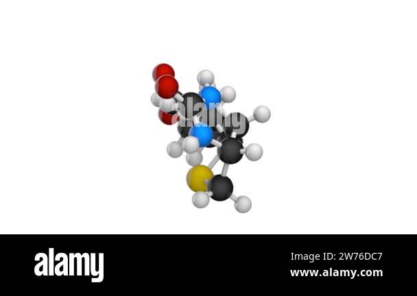 Molecular structure of Vitamin B7 (biotin). Also known as Vitamin H. 3D ...