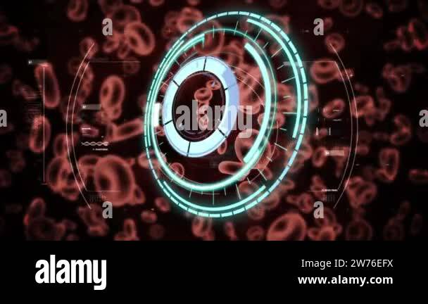 Animation of circular scanner over red blood cells and covid 19 cell ...