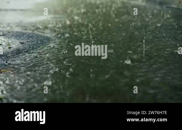 Raindrops splash on the ground. Raindrops falling into a puddle. Water ...