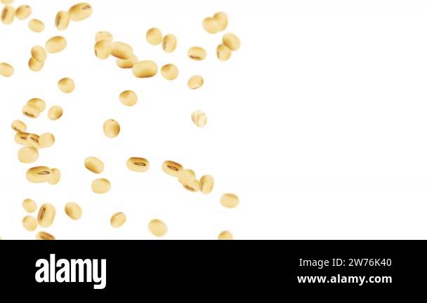 Flying many soybeans on white background. Light brown grains. Soya bean ...