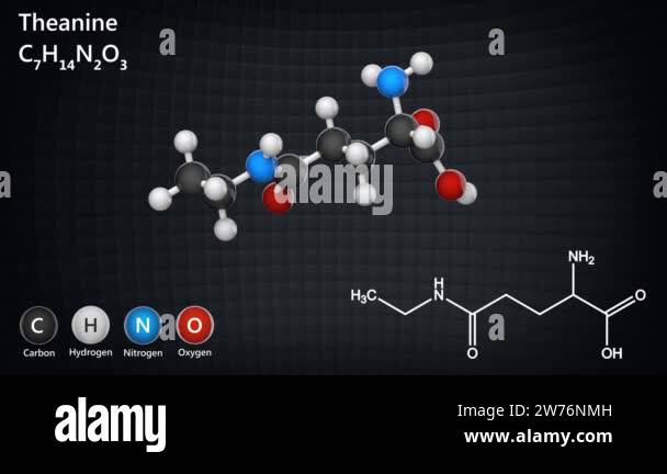 3d structure of Theanine (L-Theanine). Formula C7H14N2O3. 3D render ...