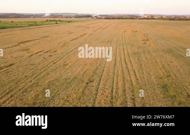 Failure of crops Stock Videos & Footage - HD and 4K Video Clips - Alamy