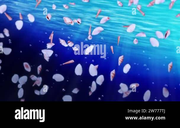 Flying many sea shells in blue water. Collection of realistic shellfish ...