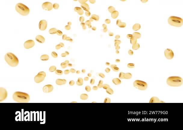 Flying many soybeans on white background. Light brown grains. Soya bean ...