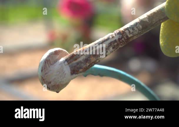 Poor paint Stock Videos & Footage - HD and 4K Video Clips - Alamy