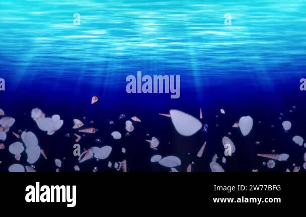 Flying many sea shells in blue water. Collection of realistic shellfish ...