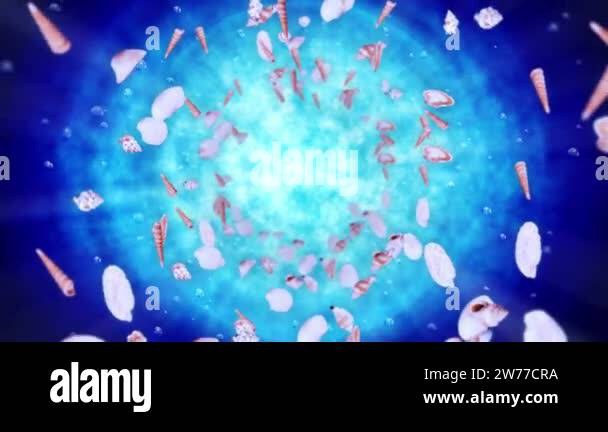 Flying many sea shells in blue water. Collection of realistic shellfish ...