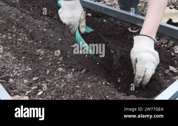 Humus garden Stock Videos & Footage - HD and 4K Video Clips - Alamy