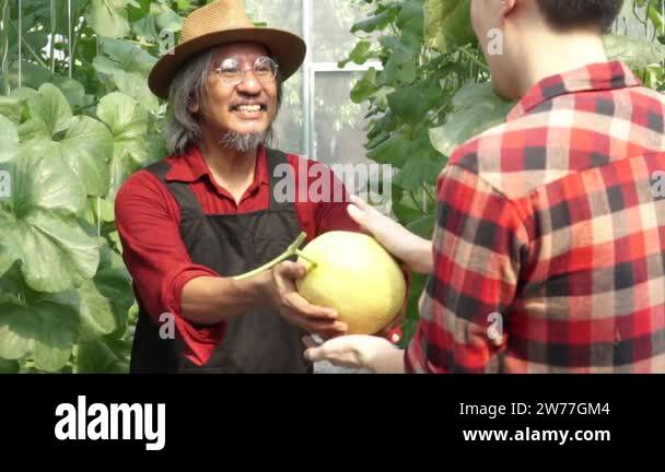 Respect customer Stock Videos & Footage - HD and 4K Video Clips - Alamy