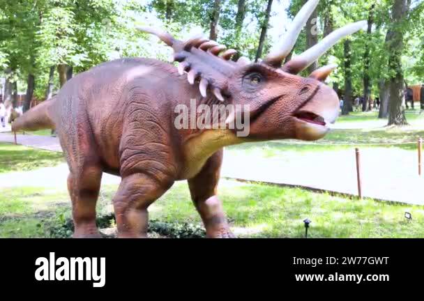 Close-up of an extinct Triceratops dinosaur made of rubber and metal ...