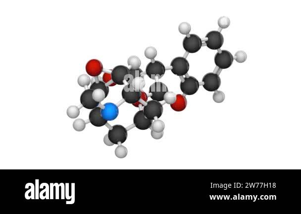 Scopolamine, also known as Hyoscine, is a medication used to treat ...