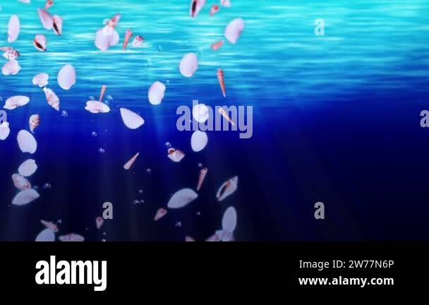 Flying many sea shells in blue water. Collection of realistic shellfish ...