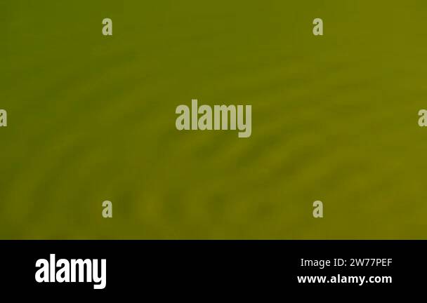 Vibration and resonance. Distribution of sound waves on the yellow ...
