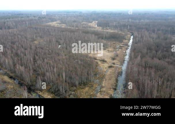 Trees in summer beautiful rivers and environment Stock Videos & Footage ...