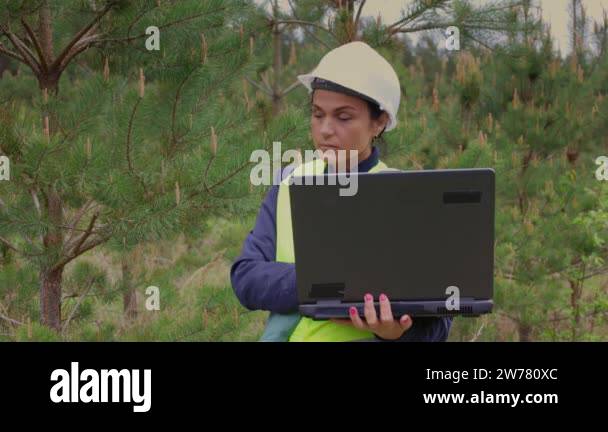 Coppice trees Stock Videos & Footage - HD and 4K Video Clips - Alamy