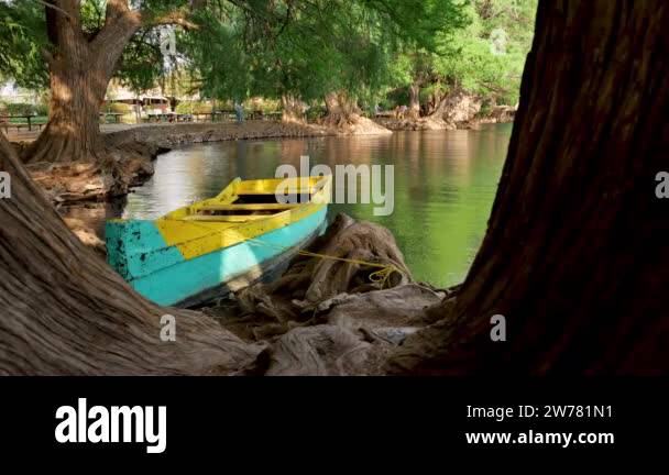 Boat tied to tree Stock Videos & Footage - HD and 4K Video Clips - Alamy