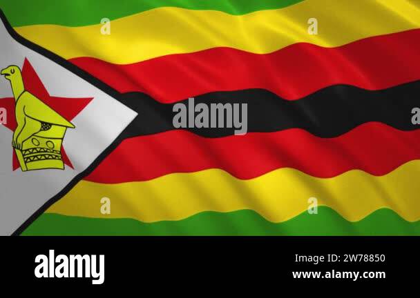 Zimbabwe flag standard Stock Videos & Footage - HD and 4K Video Clips ...