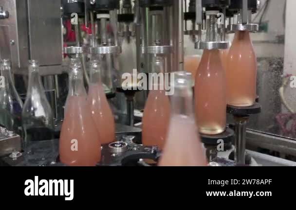 Rows of wine bottles in a winery getting filled during the bottling process Stock Video Footage ...