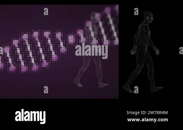 Animation of dna strand spinning with two human figures walking. global ...
