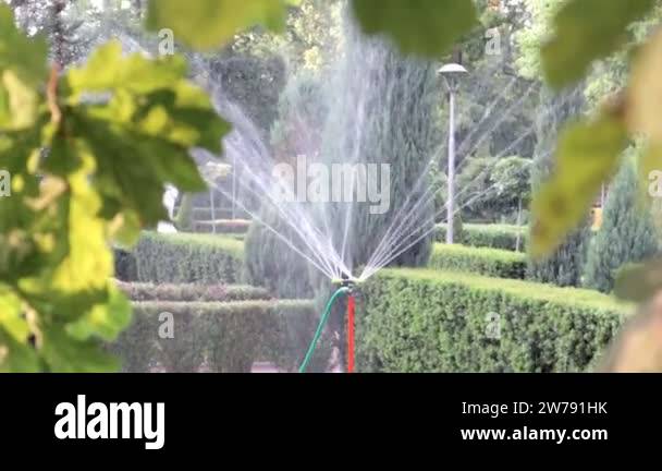 Lawn irrigation system working in a green park. Spraying the lawn with ...