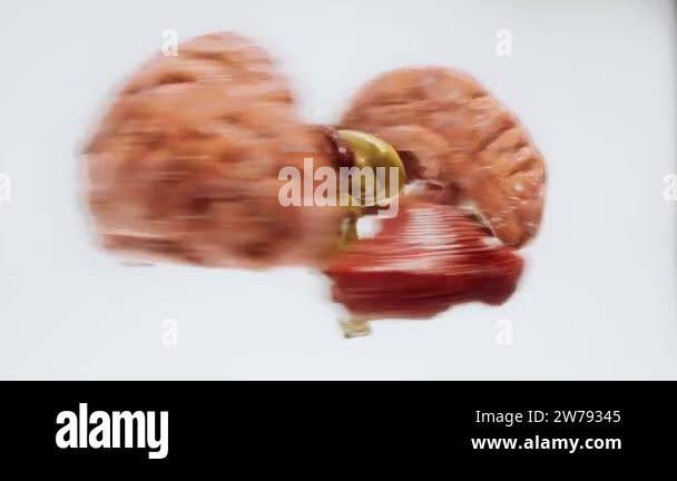 Digital transformer formation Stock Videos & Footage - HD and 4K Video ...