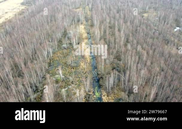 Marshes in Europe. Aerial photography of wildlife, rivers and swamps in ...