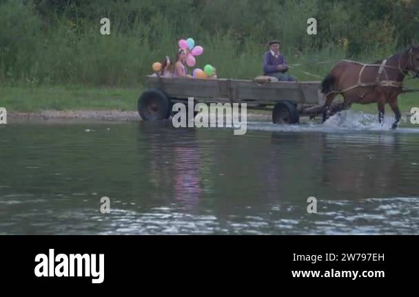 Water horse riding Stock Videos & Footage - HD and 4K Video Clips - Alamy