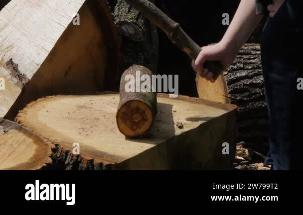 Sawmill. Log trees. The boy knocks on a log with a stick. Eco tourism ...