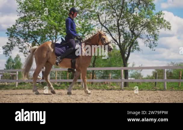 Female Jockey Riding On A Beautiful Golden Horse In The Sandy Arena ...