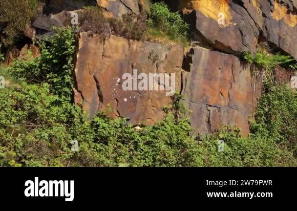 Rugged rocks formation Stock Videos & Footage - HD and 4K Video Clips ...