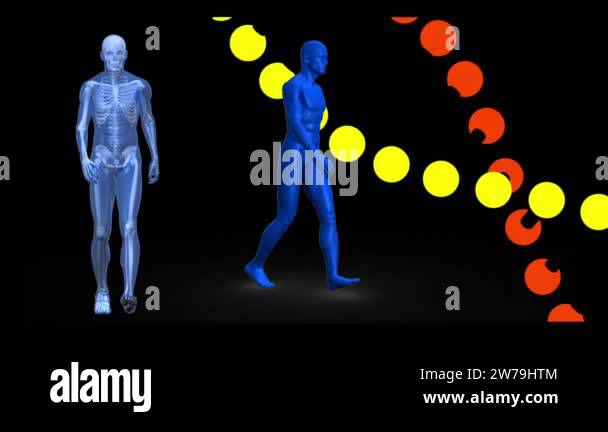 Animation of dna strand spinning with two blue human figures walking ...
