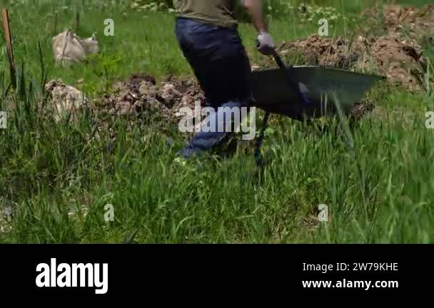 Planting Forests Manually Reforestation On The Planet Working Process
