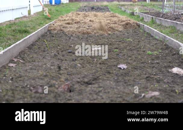 Retain soil moisture Stock Videos & Footage - HD and 4K Video Clips - Alamy