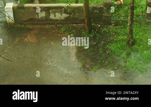 Raindrops fall into a large puddle next to an old concrete iron fence ...