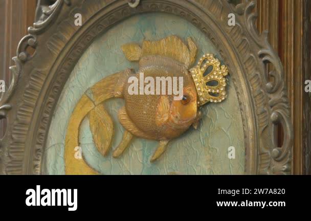 Crown fish Stock Videos & Footage - HD and 4K Video Clips - Alamy