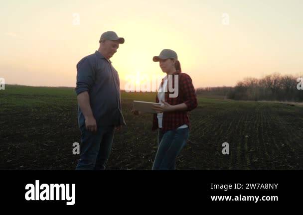 Agricultural business. Farmers man, woman work in field with tablet ...