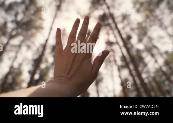 A mans hand in the rays of the sun reaches for the sky, time to dream ...