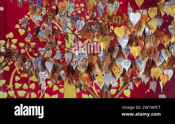 Merit tree Stock Videos & Footage - HD and 4K Video Clips - Alamy