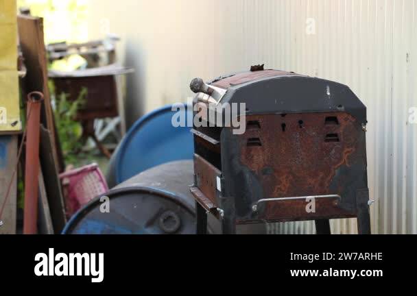 Pied wagtail at nest box Stock Videos & Footage - HD and 4K Video Clips ...