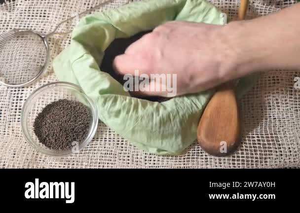 Farmer collects cabbage seeds. Farmer collects the cabbage seeds in his ...