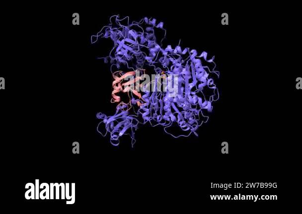 Enzyme complex Stock Videos & Footage - HD and 4K Video Clips - Alamy