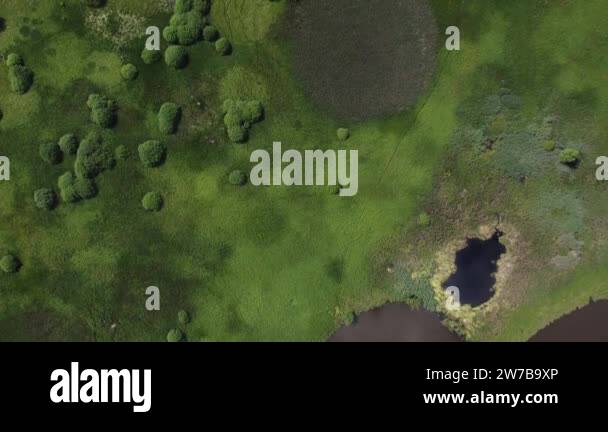 river in the field, green grass valley at river shore aerial. Nobody ...