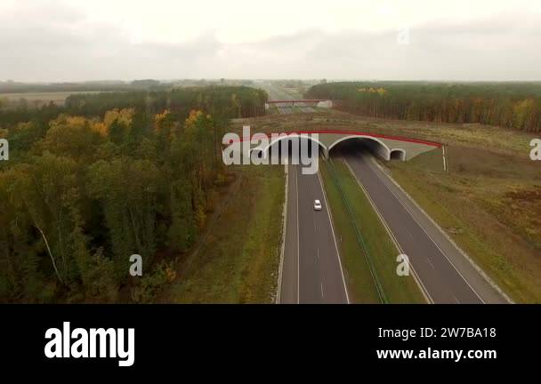 Highway wildlife bridge Stock Videos & Footage - HD and 4K Video Clips ...