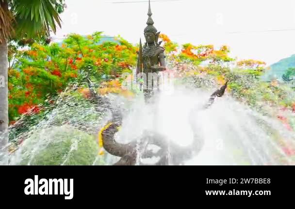 Naga tree Stock Videos & Footage - HD and 4K Video Clips - Alamy
