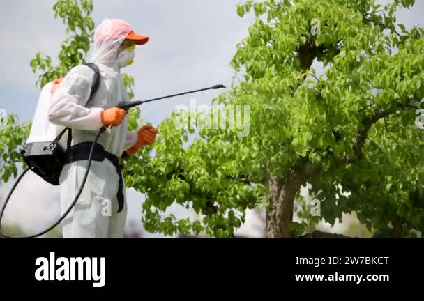 Fungicide protection Stock Videos & Footage - HD and 4K Video Clips - Alamy