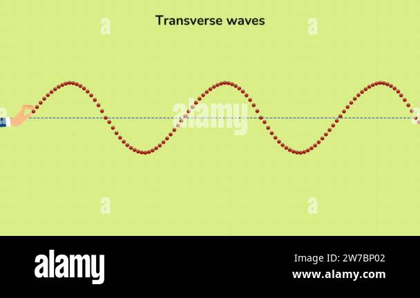 Transverse Waves, 2D animation video of Transverse Waves. Animated 4K ...