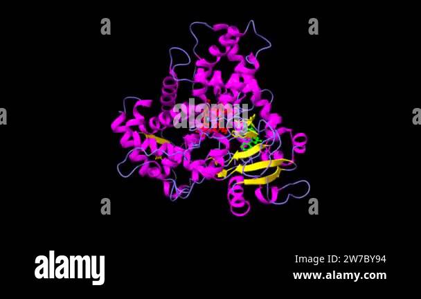 Structure heme Stock Videos & Footage - HD and 4K Video Clips - Alamy