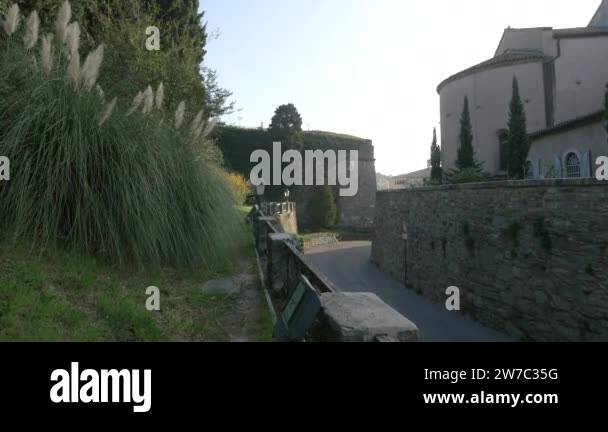 Roman plants Stock Videos & Footage - HD and 4K Video Clips - Alamy