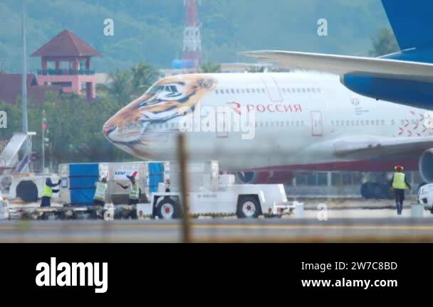 Boeing 747 with livery of tiger face Stock Video Footage - Alamy