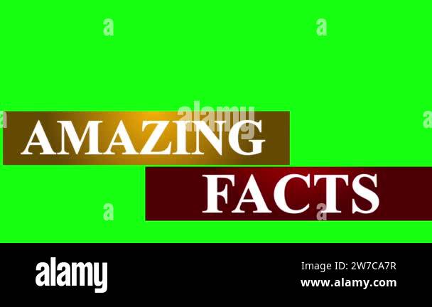 Amazing Facts lower third in high resolution. Animated amazing facts ...